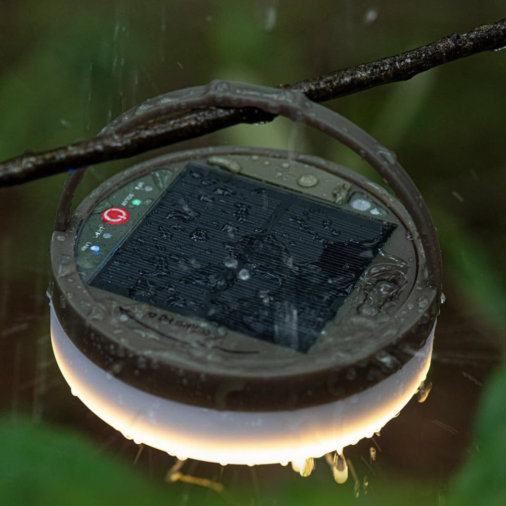 CAMPIFY String Pro – The Light Supplier NL